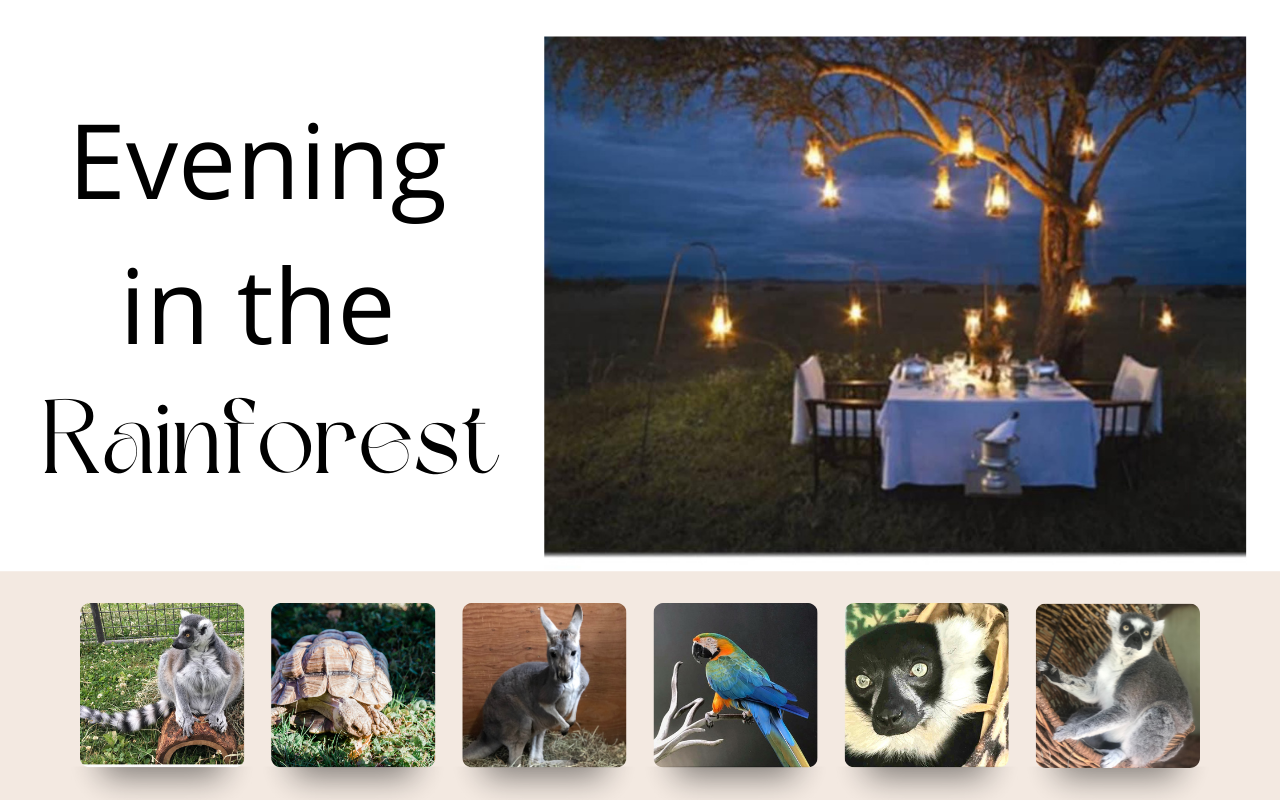 Modern-Blog-Website-Header-Prototype – Two By Two Animal Haven Inc.